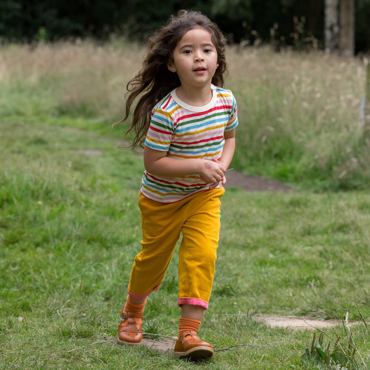 Kids Rainbow Striped Short Sleeve T-Shirt – Little Green Radicals